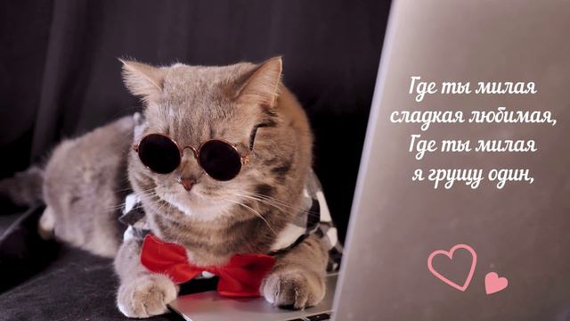 Где ты милая сладкая любимая