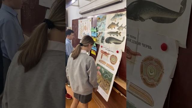 Лабораторная работа по биологии 5 класс. Учитель Лаврушина Марина Вячеславовна