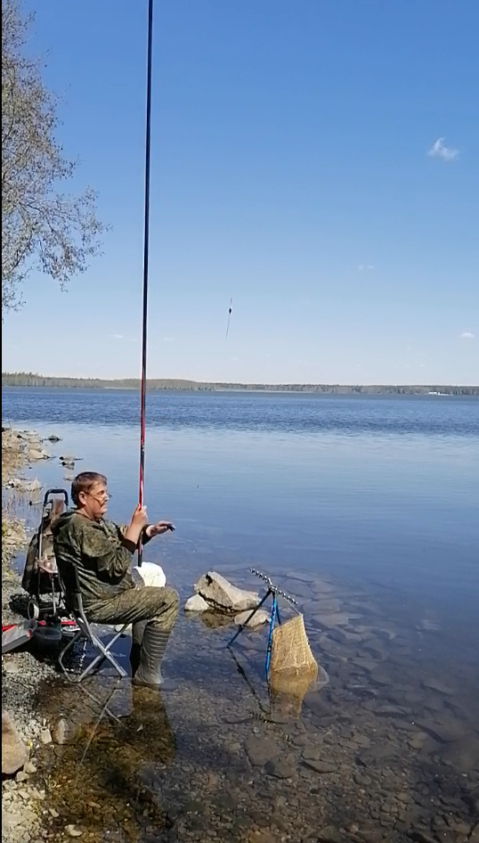 На маховую удочку с берега - самая комфортная рыбалка #shorts