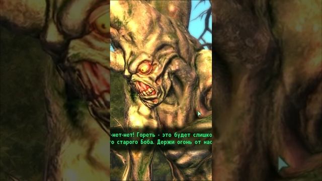 ▶Fallout 3. Может, я тебя просто сожгу?