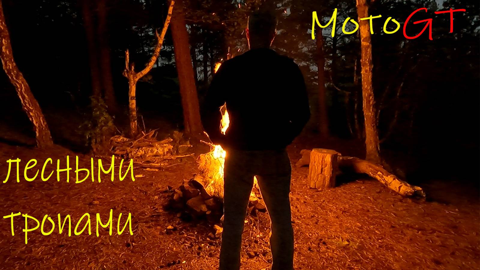Мотопутешествие, поездка в лес на BMW r1200 GS