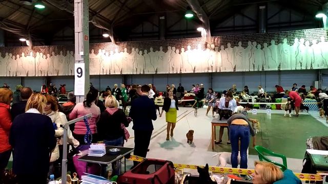 Poale Ell Adam. Разминка