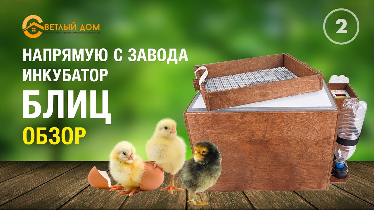 2. Лучший автоматический инкубатор БЛИЦ видео обзор. Отечественный инкубатор. Лучшие инкубаторы.