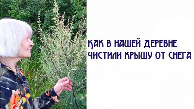 Как в нашей деревне чистили крышу от снега