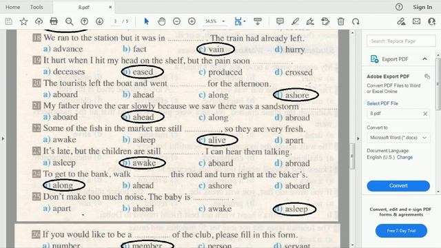 English Exercise 28