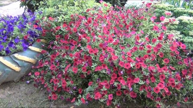 Все видео_Нужна ли прищипка ТАЙДАЛАМ.mp4