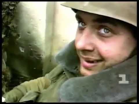 31. 12. 1994-95.