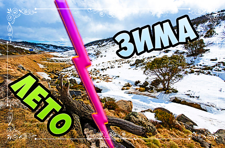 Чудеса природы. Слева ЛЕТО, а справа ЗИМА ❄☀