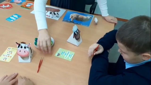 Коррекционное занятие по окружающему миру с обучающимися с ТМНР на тему: "Домашние животные".