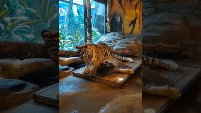 Когда он лёг на твою половину кровати