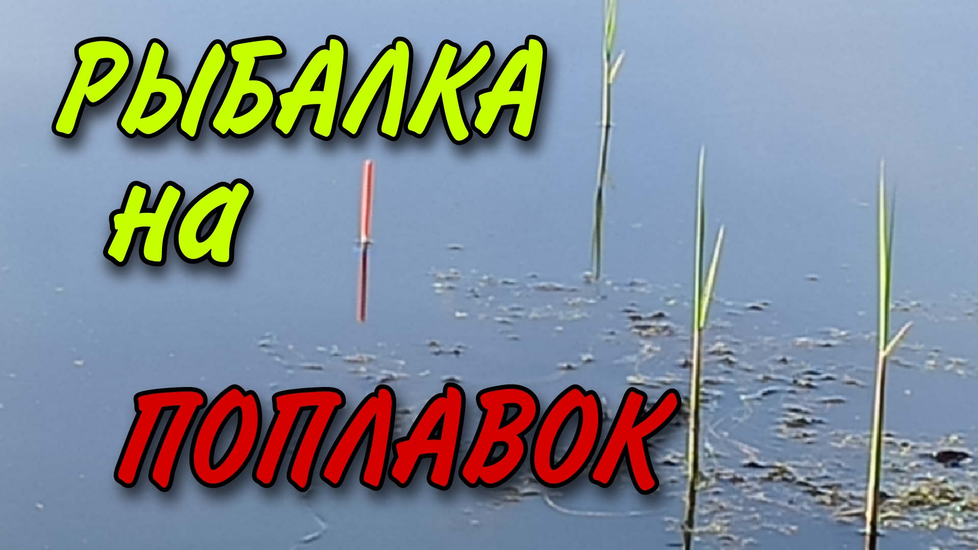 Рыба сошла с ума!!! Клюет одна за одной. Рыбалка на поплавок