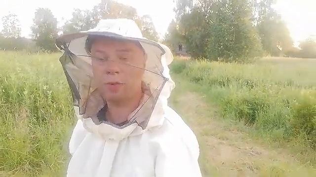 П У Т Е Ш Е С Т В И Е в ПЧЕЛАНДИЮ