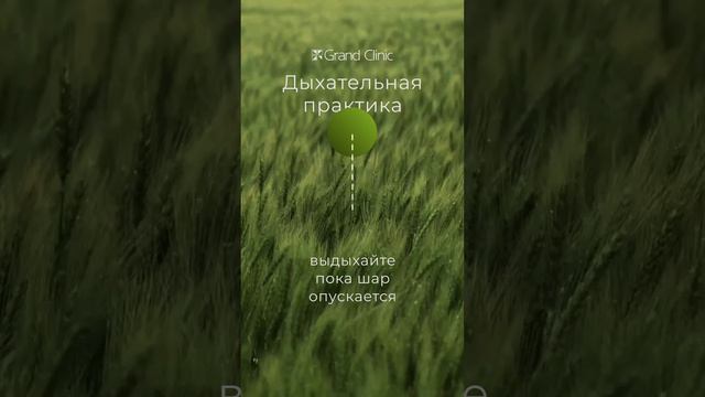 Дыхательная практика