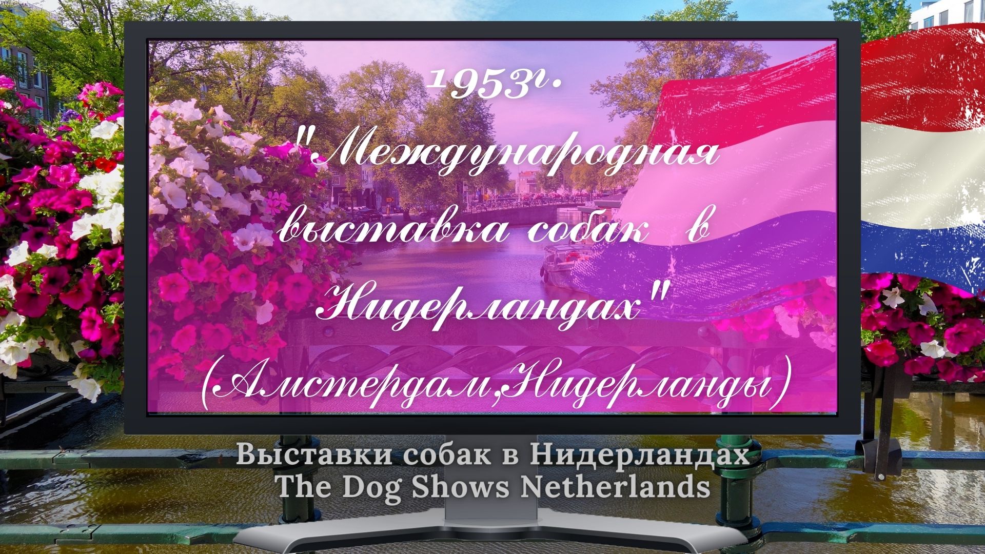 1953 Международная выставка собак в Нидерландах