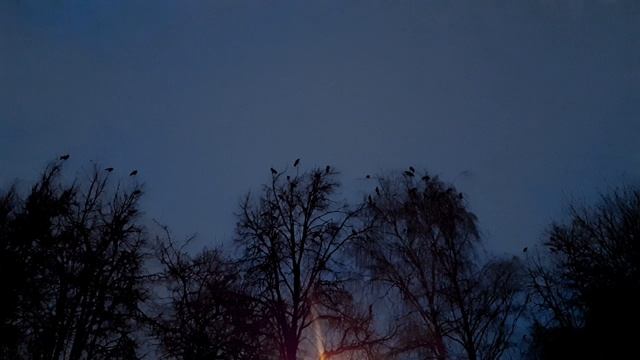 Вороний  совет.