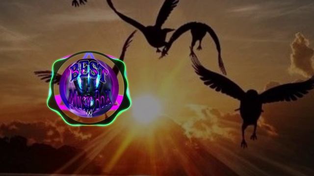 Diviners___Azertion_-_Feelings__NCS_Release