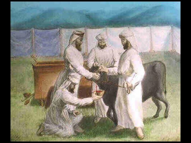 3.05 По страницам Библии - лекции доктора Мак Ги по книге Левит