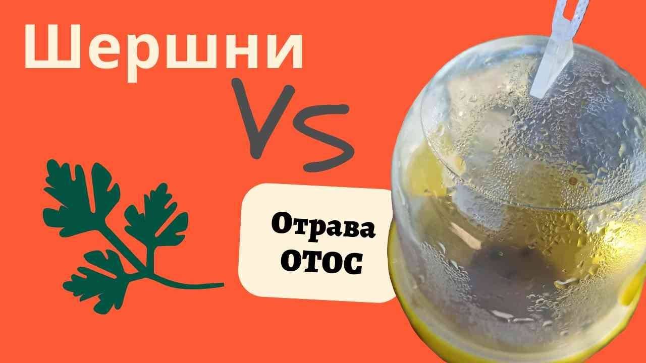 Неудачная попытка избавиться от шершней: обзор средства Отос