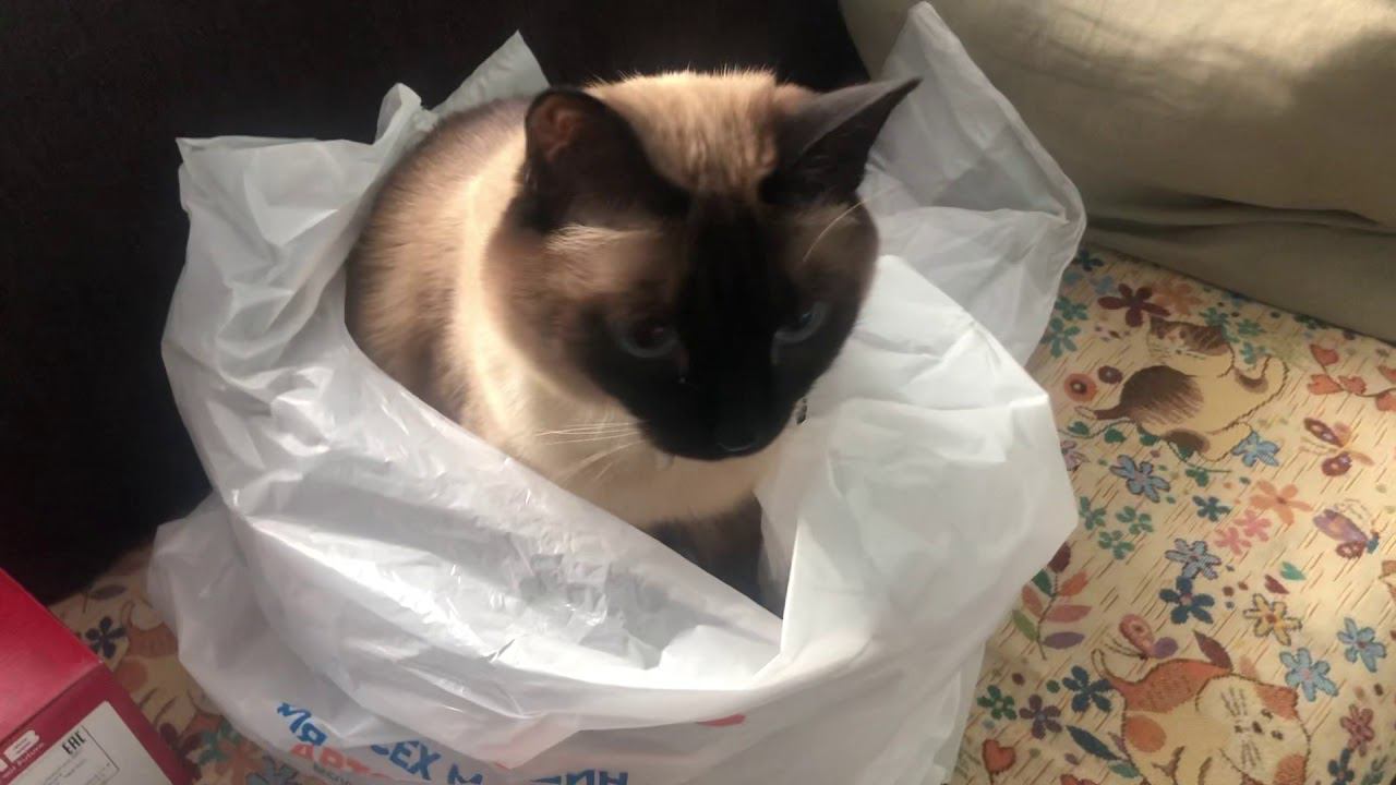 20210122 Проверяльщик пакетов. Таможня даёт добро!