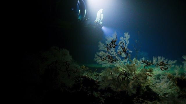 Голубая планета 2 2 серия «Глубина» (документальный сериал, 2017)