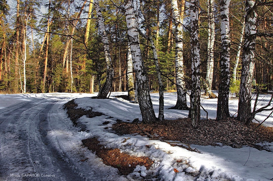 МЫ ДОЛГО ШЛИ РЯДОМ ОДНОЙ ДОРОГОЙ... (Фото Игоря Баранова (Рязань) - Поёт Александр Огнивцев)