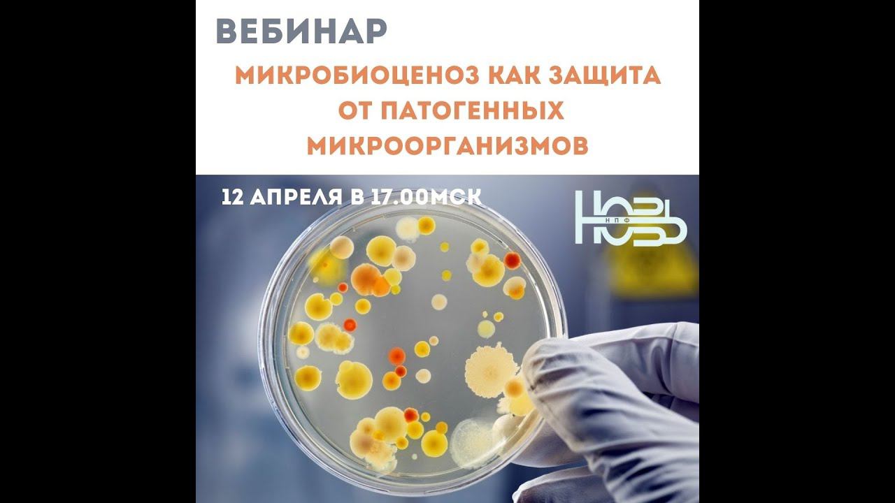 Микробиоценоз как защита от патогенных микроорганизмов