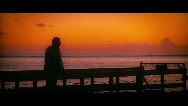 The Beauty Of Pacifiction