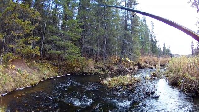 Осенняя рыбалка. В поисках рыбы. Часть-2_Autumn fishing. In search of fish. Part 2