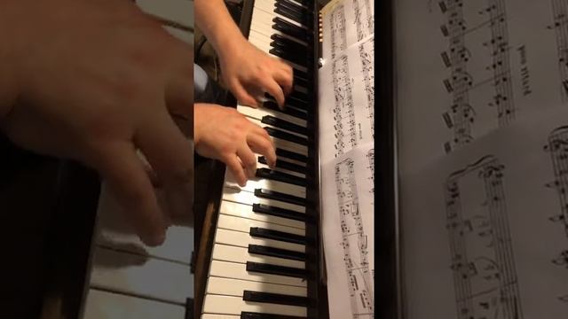 Фрагмент урока online Tchaikovsky Seasons May Чайковский Времена года Май Белые .mp4