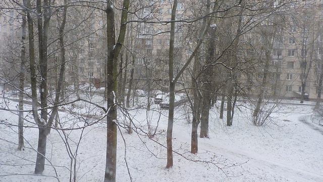 2024-04 вид из окна, снег идёт.