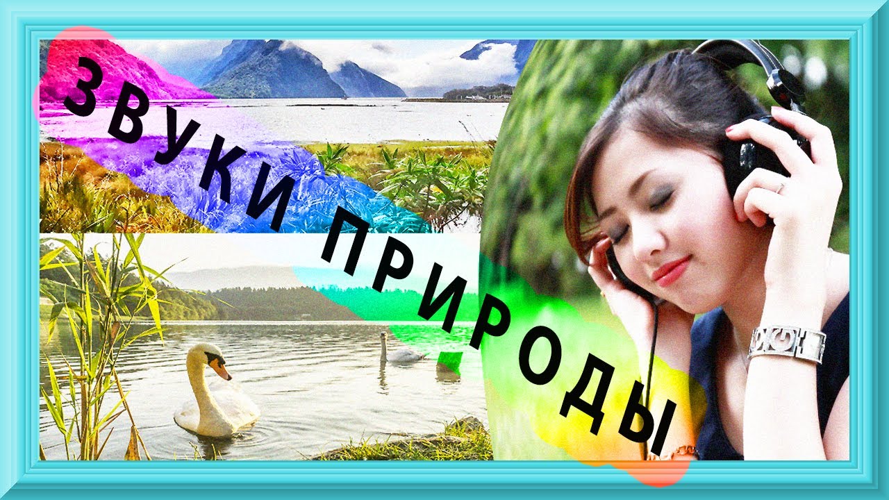 Звуки природы. Пение птиц. Шум воды. Расслабляющие звуки.