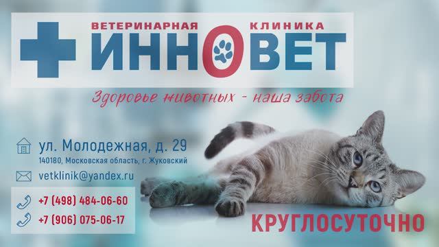 Ветеринарная клиника
