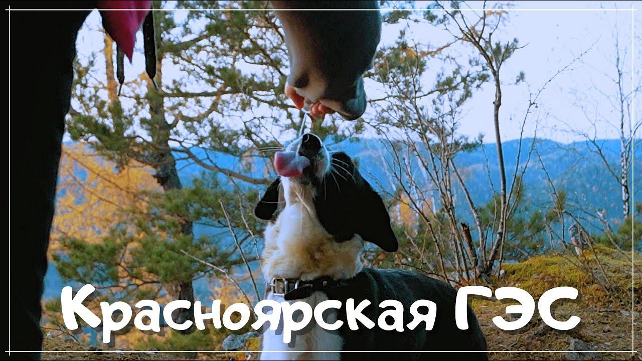 Лучший вид на Красноярскую ГЭС.