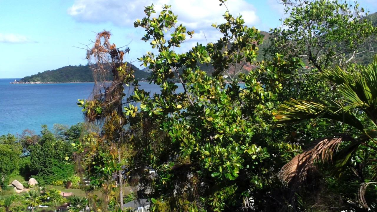 5deluxe Raffles Praslin Seychelles