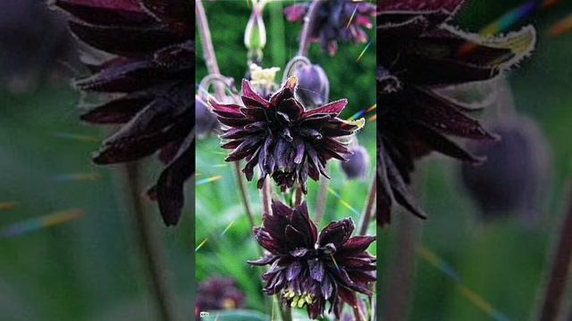 Прекрасного нового дня