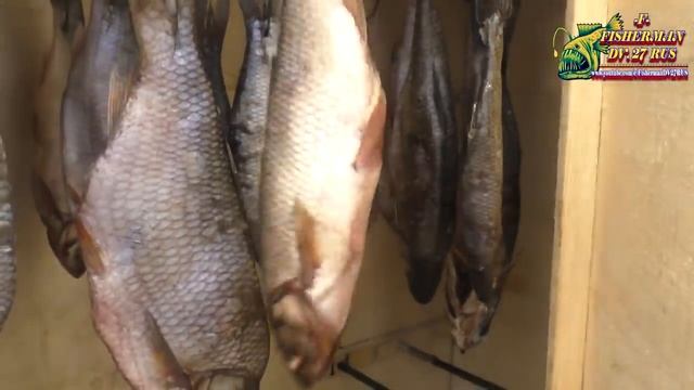 Засолка и вяление рыбы в жару.