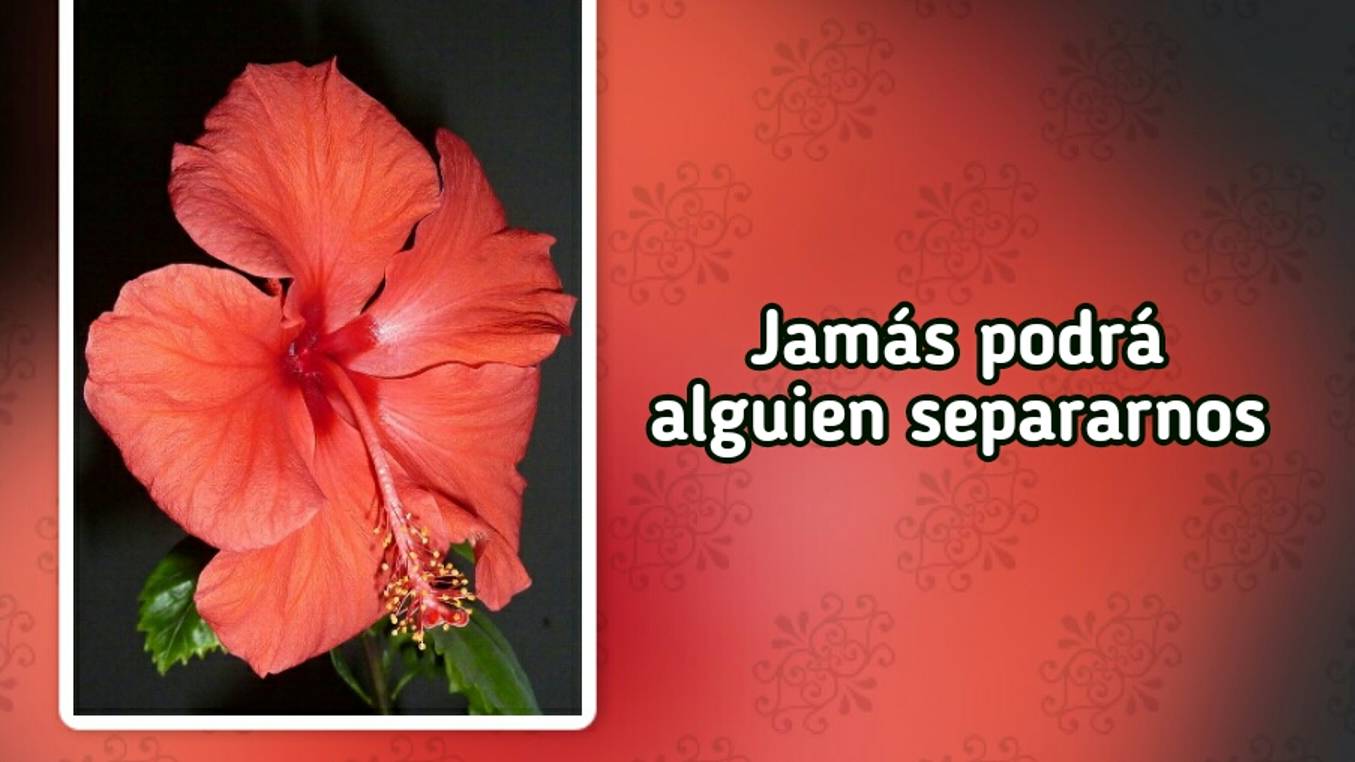 Himnario adventista 99 Jamás podrá alguien separarnos (-)