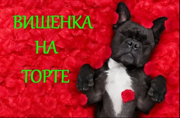 КОЛЫБЕЛЬНАЯ. ВИШЕНКА НА ТОРТЕ.