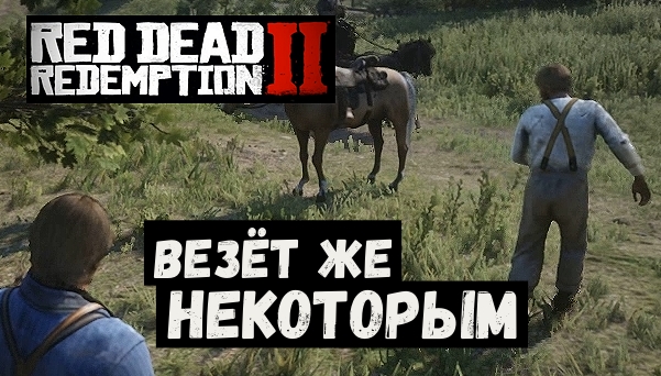 RDR 2  Невезучий персонаж.mp4
