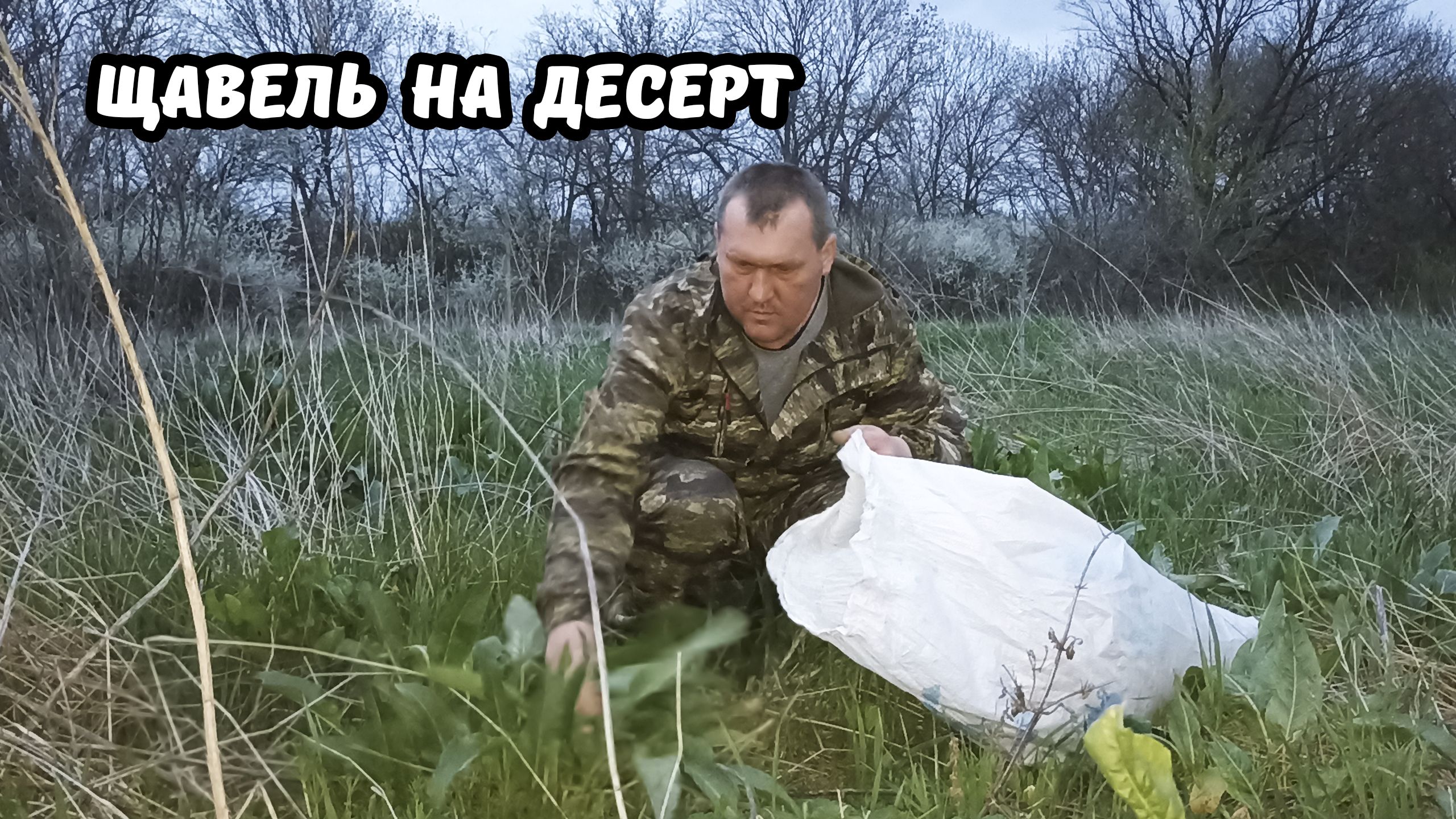 Чем кормлю нутрий-малышей / Трава для нутрий в апреле