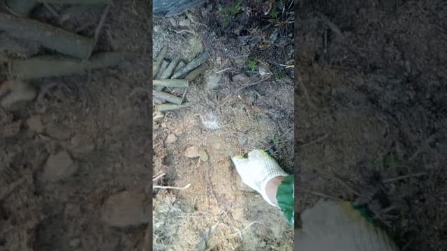 Искал бараки, а нашёл финскую огневую точку