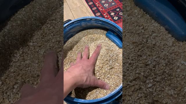 Перемолотый солод