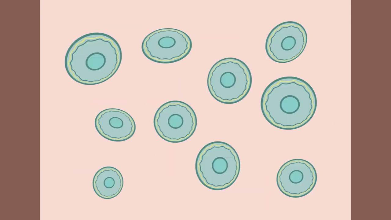 22 Тоонуудые харанаб хори