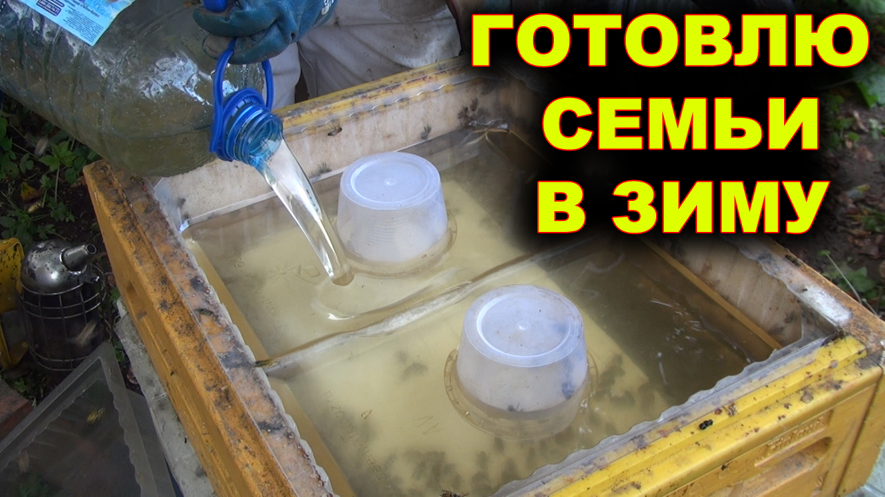 Подготовка пасеки к зиме в августе. СПб.