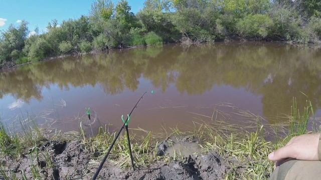 Рыбалка на донки в июне.