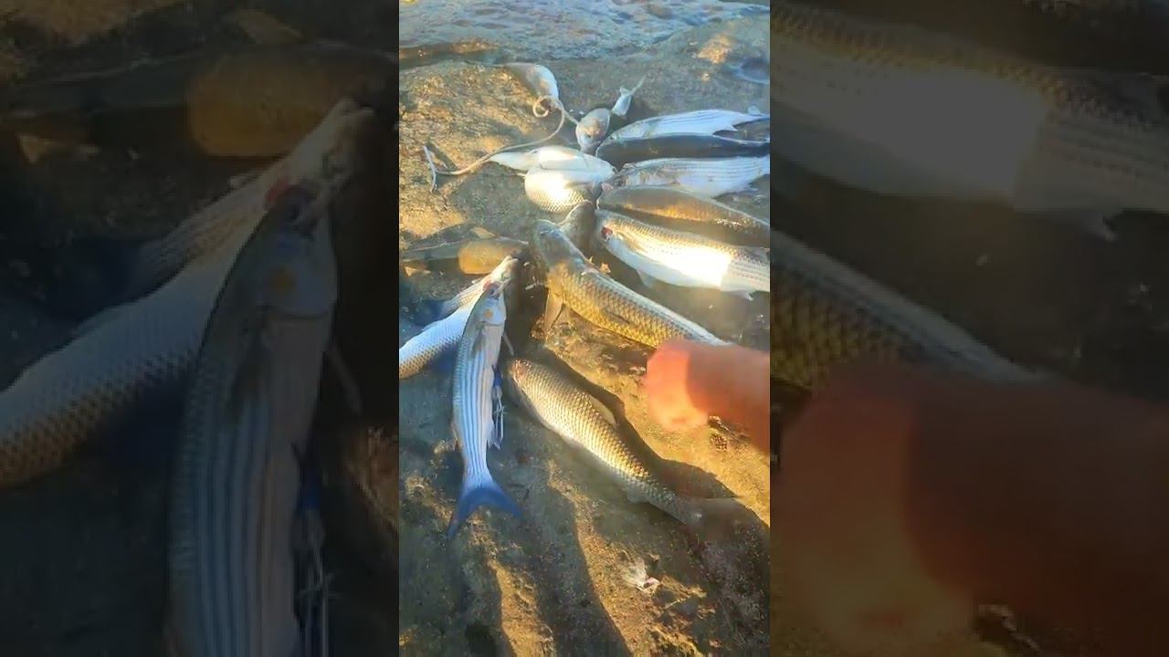 Рыбачим в Каспийском море