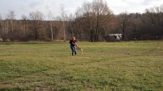 ВДНФ Анастасия и Одри.mp4