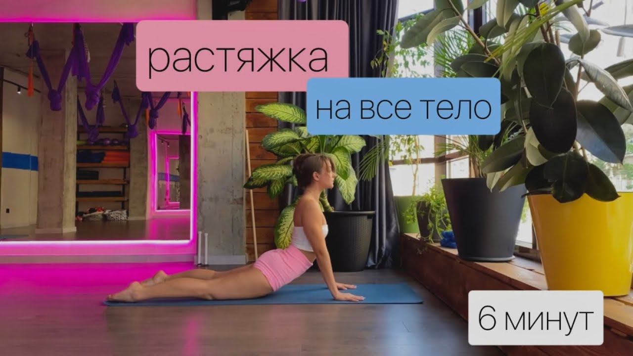 растяжка для всего тела 6 минут