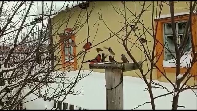 Притча о выборе.