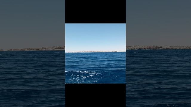 Экскурсия на яхте по Красному морю. Египет. Июль 2023.